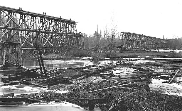 home1 [www.eskimo.com]