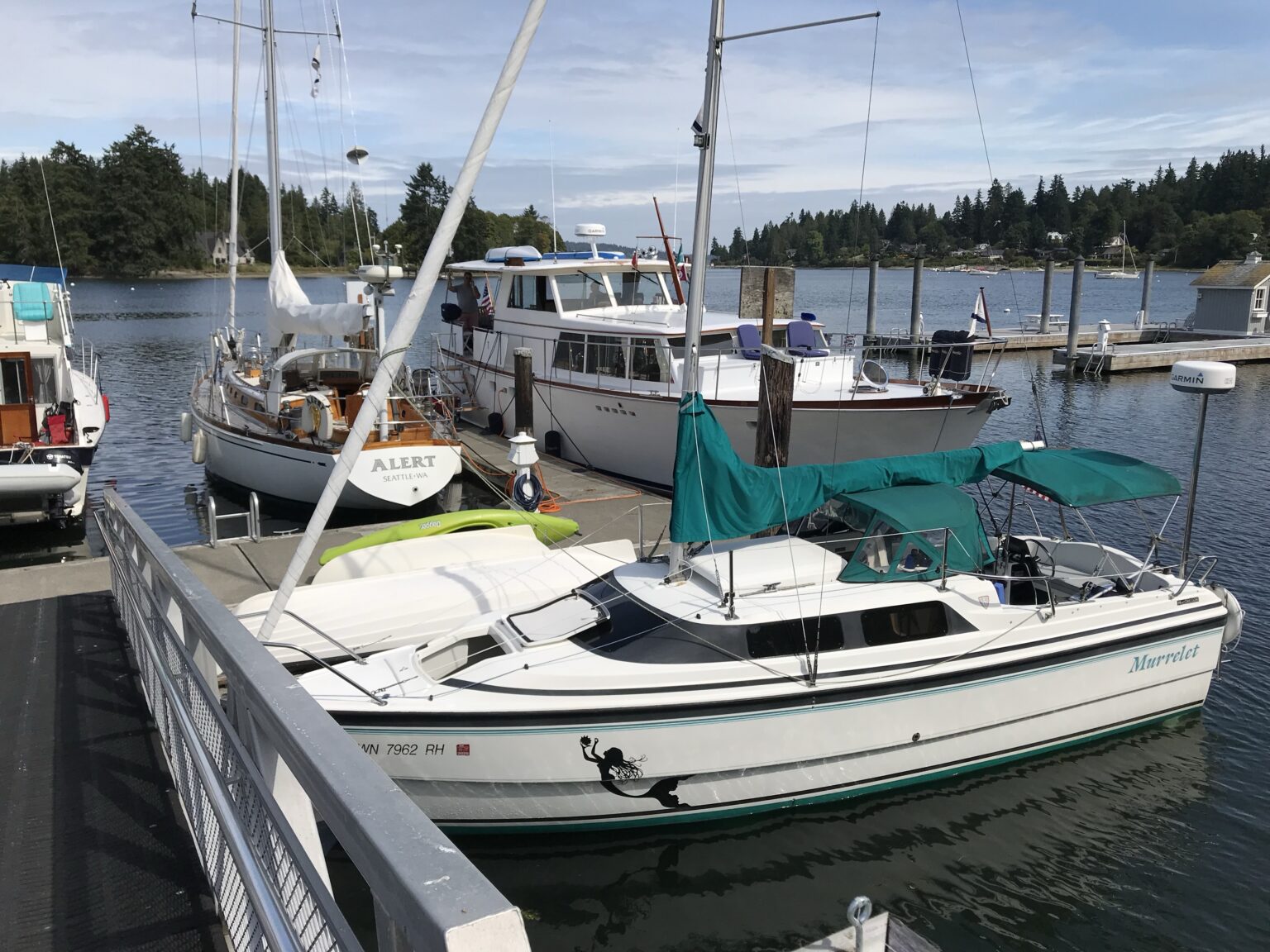 Lunar New Year of Salish Sea | Cruising Log of the Murrelet