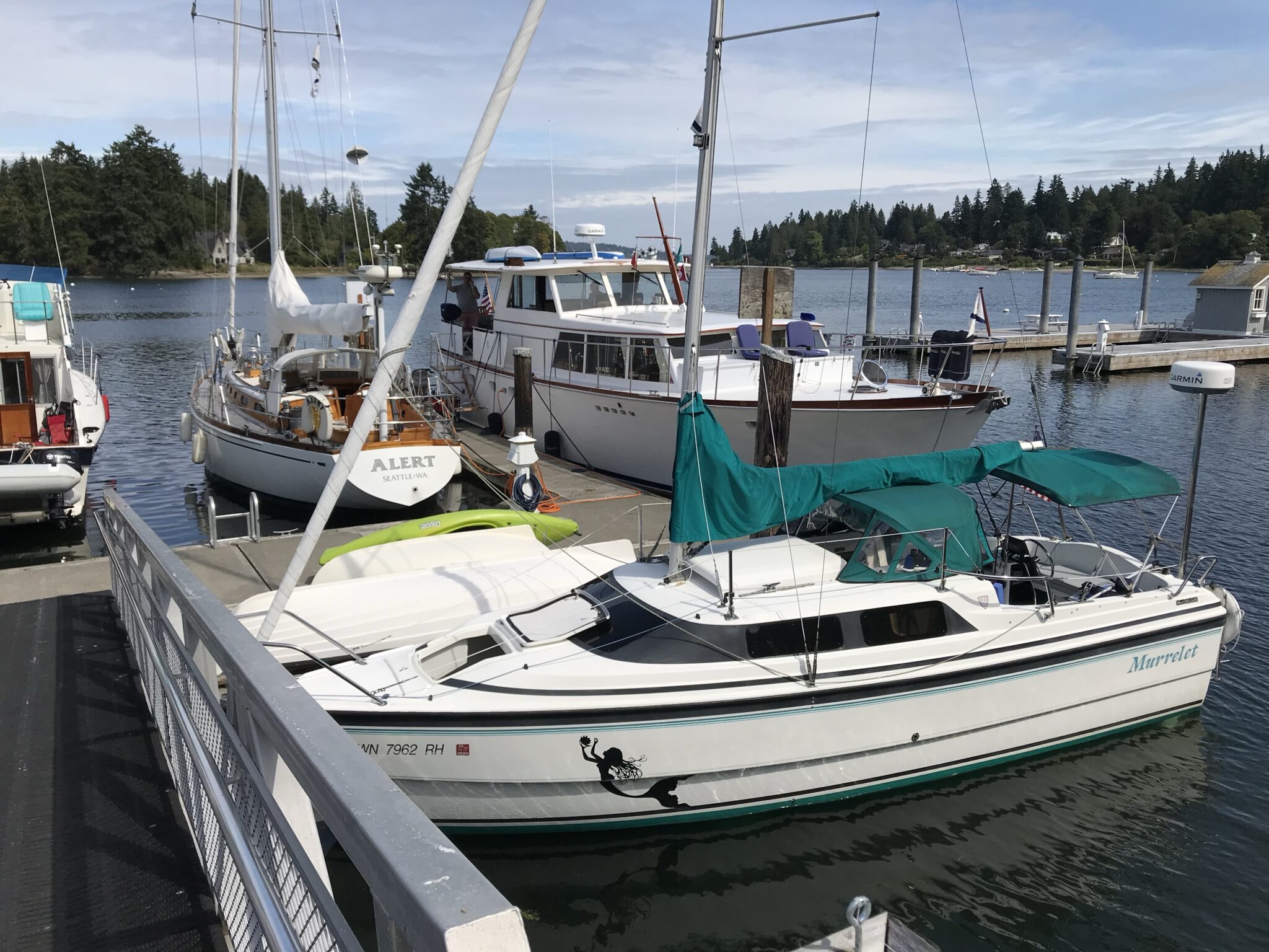 Lunar New Year of Salish Sea | Cruising Log of the Murrelet