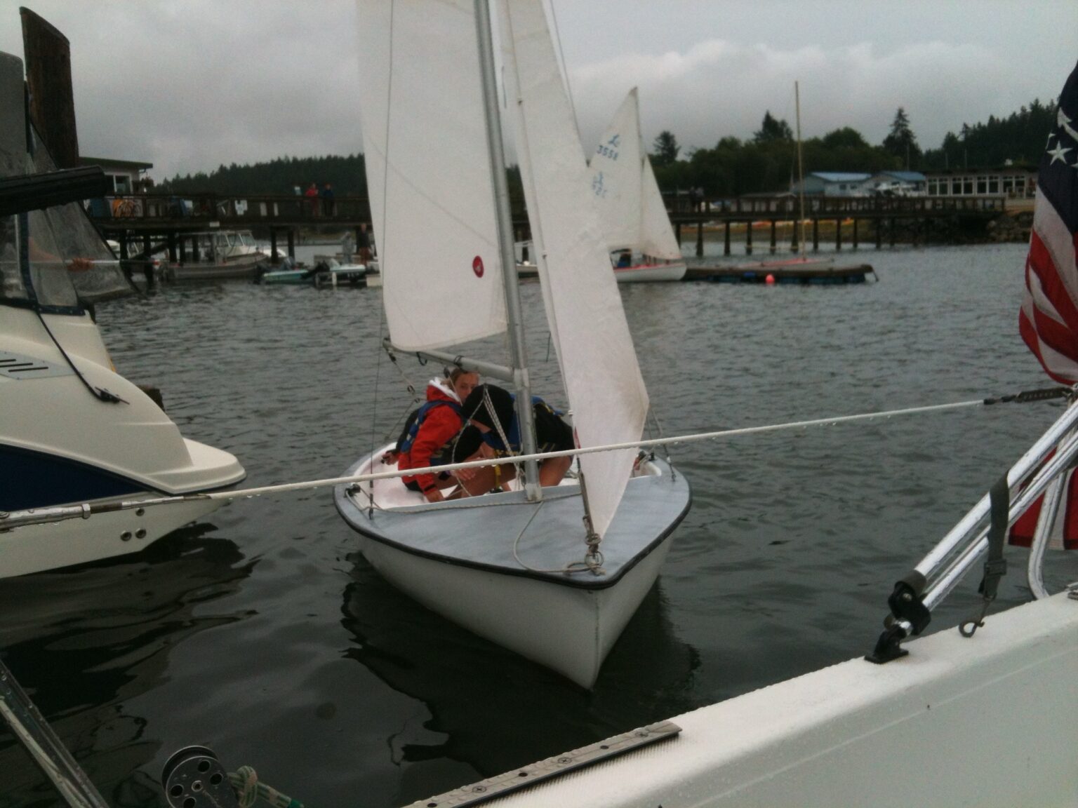 Lunar New Year of Salish Sea | Cruising Log of the Murrelet