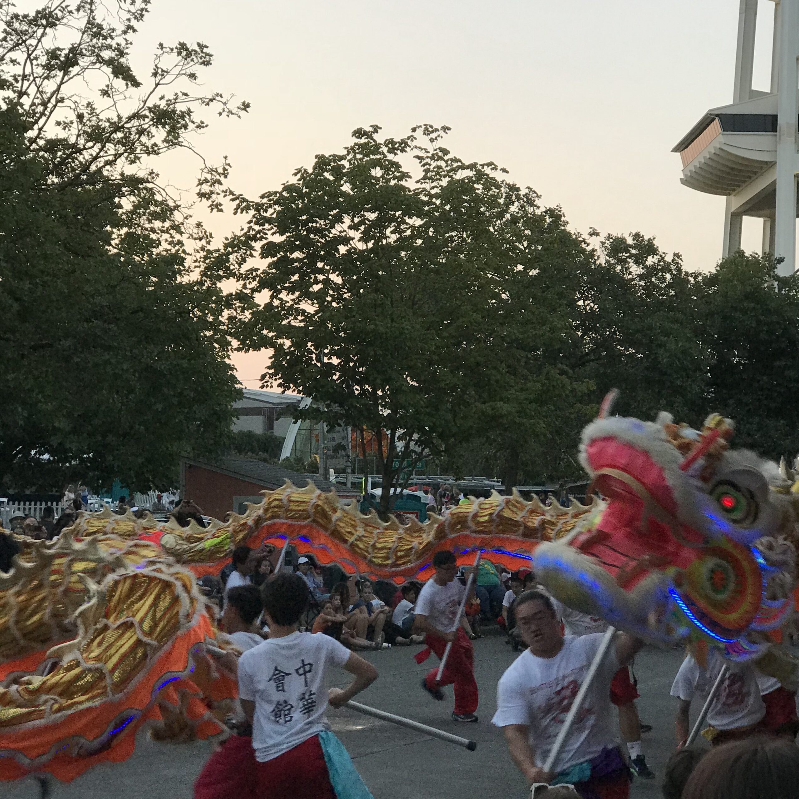 Lunar New Year of Salish Sea | Cruising Log of the Murrelet