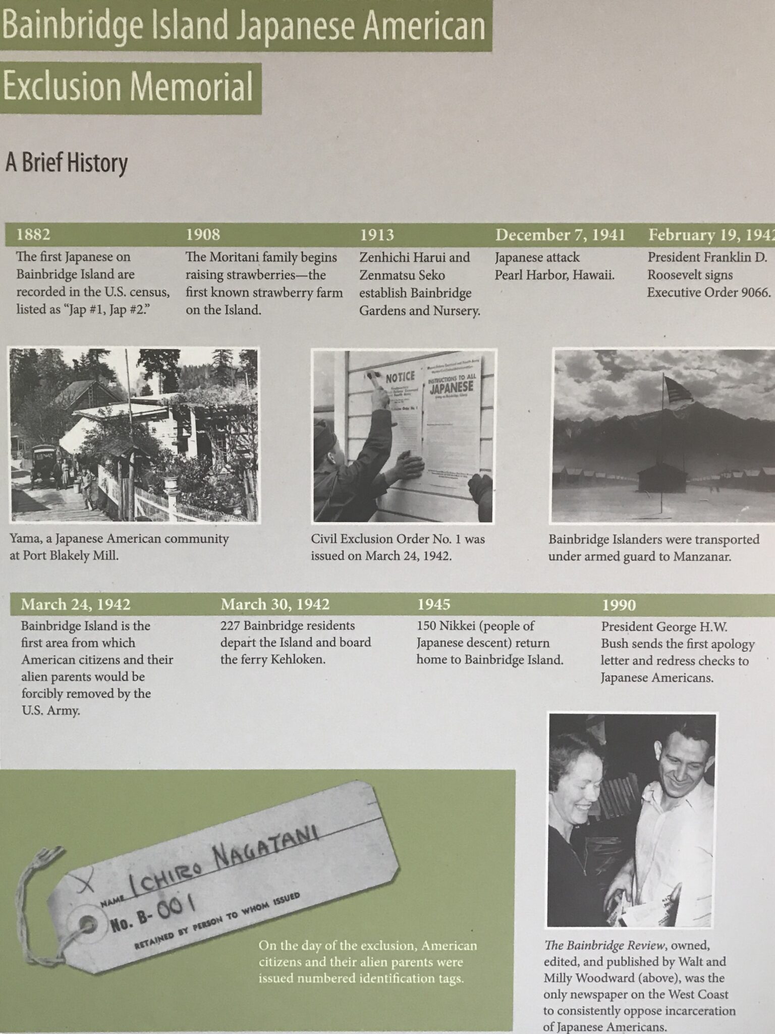 Lunar New Year of Salish Sea | Cruising Log of the Murrelet