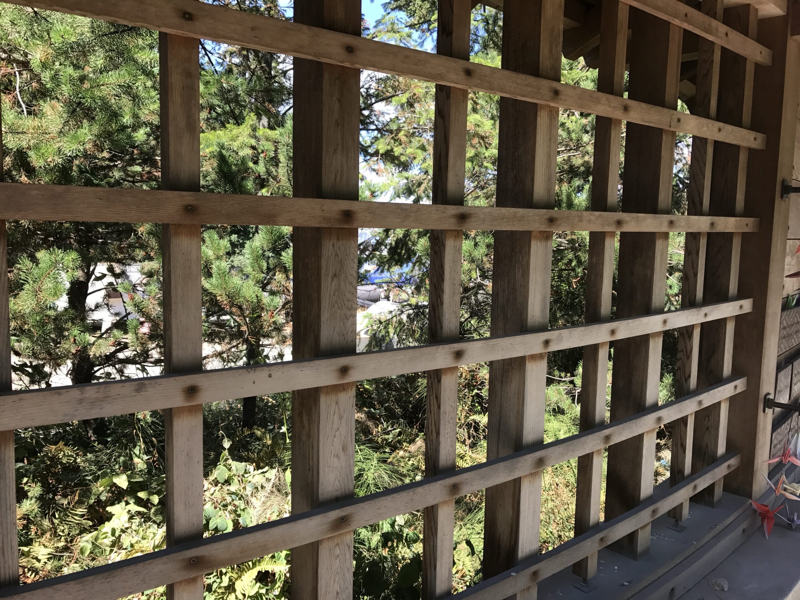 Lunar New Year of Salish Sea | Cruising Log of the Murrelet