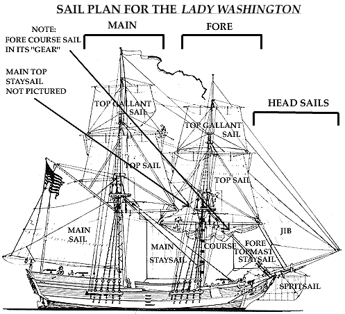 Bayesian Capsize | Cruising Log of the Murrelet