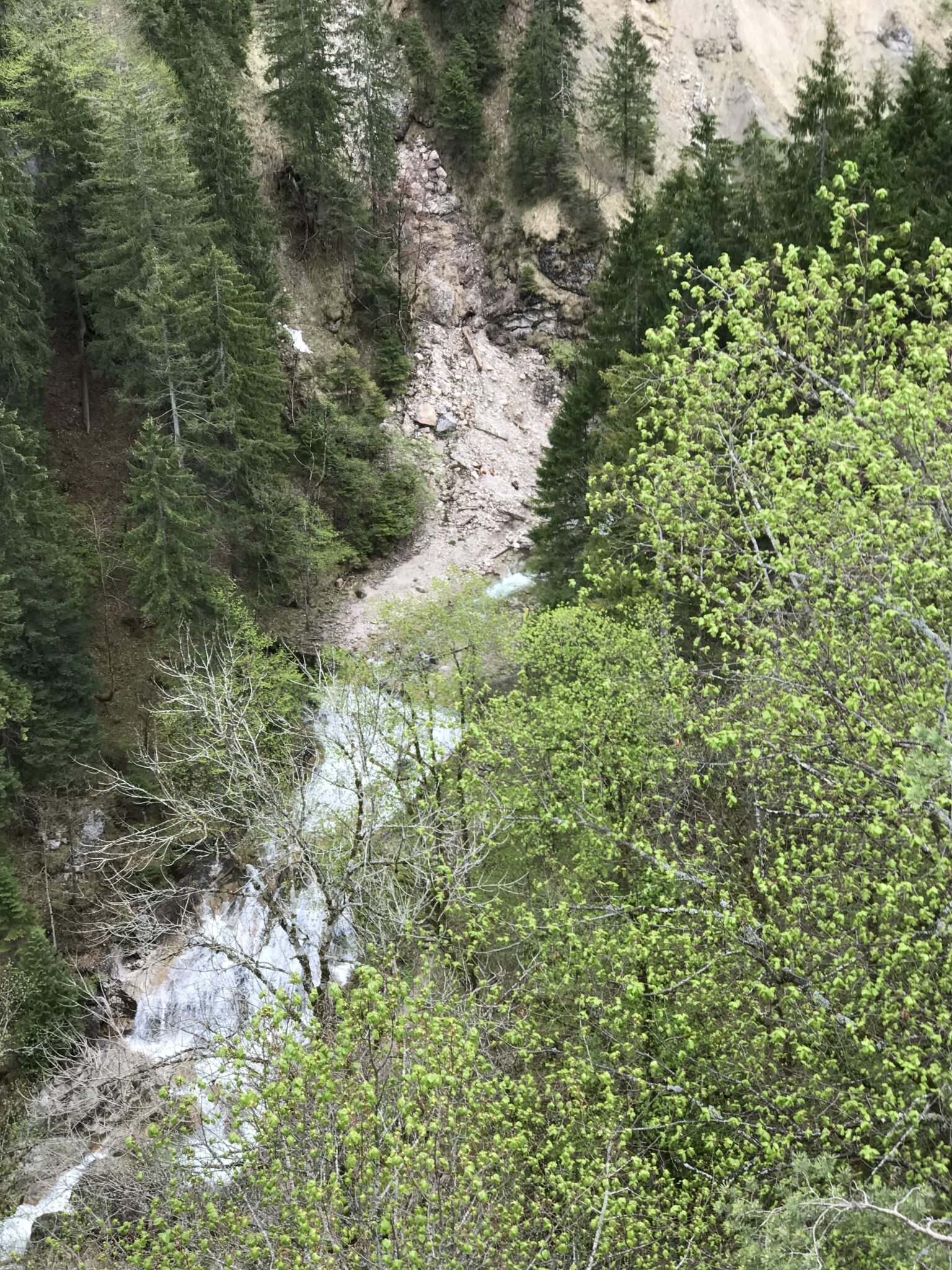 The Ring Cycle Operas | Cruising Log of the Murrelet