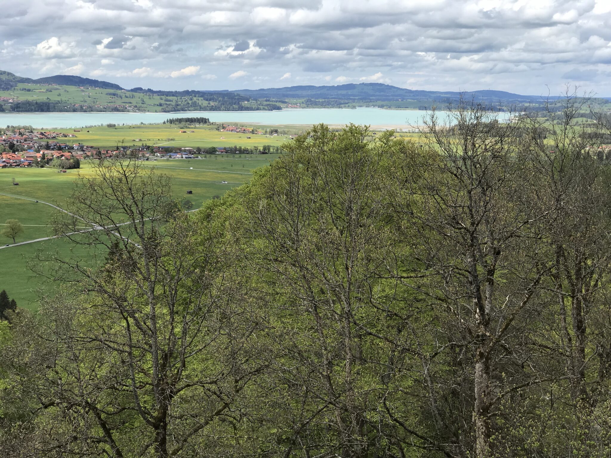 The Ring Cycle Operas | Cruising Log of the Murrelet