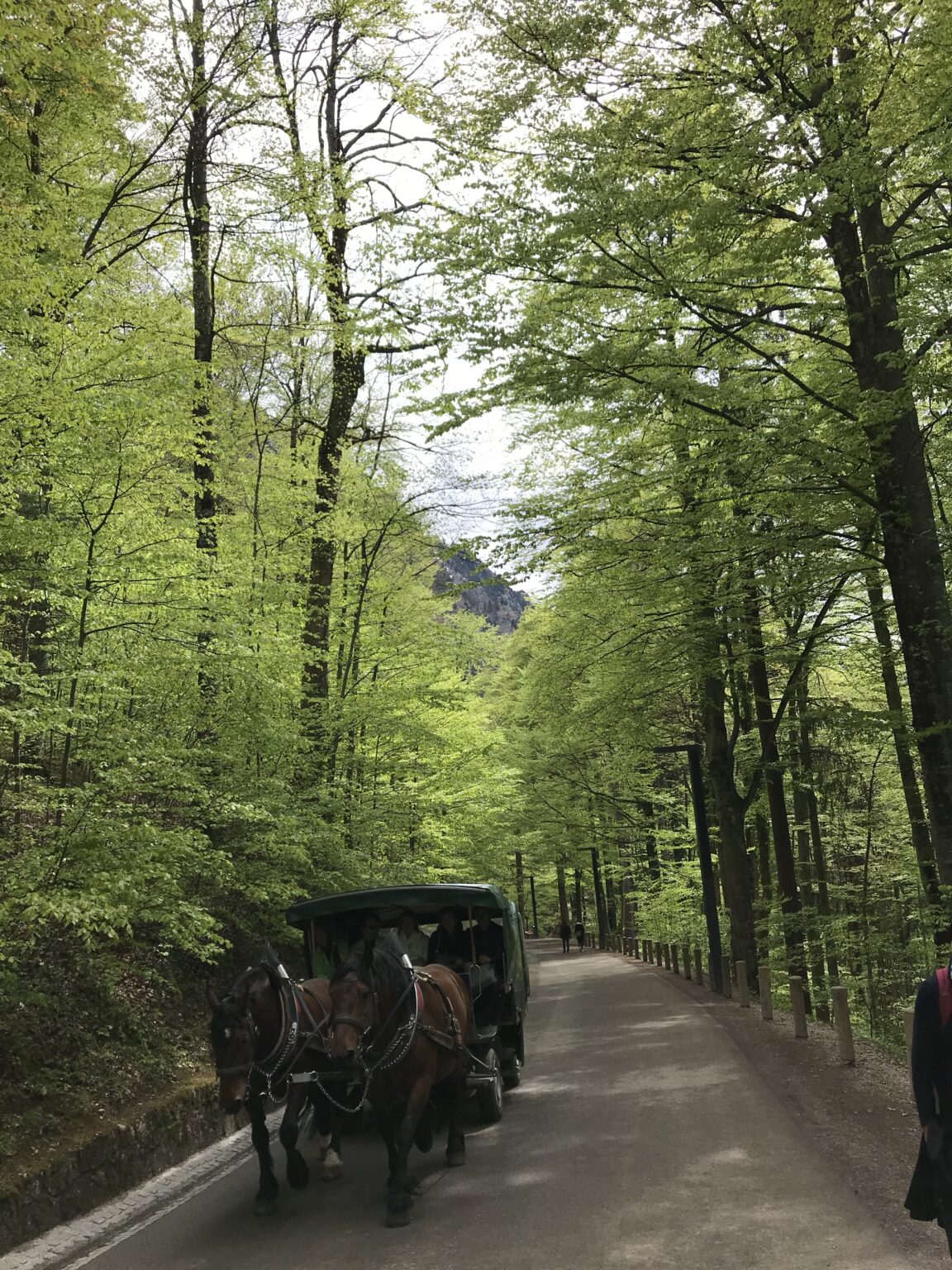 The Ring Cycle Operas | Cruising Log of the Murrelet