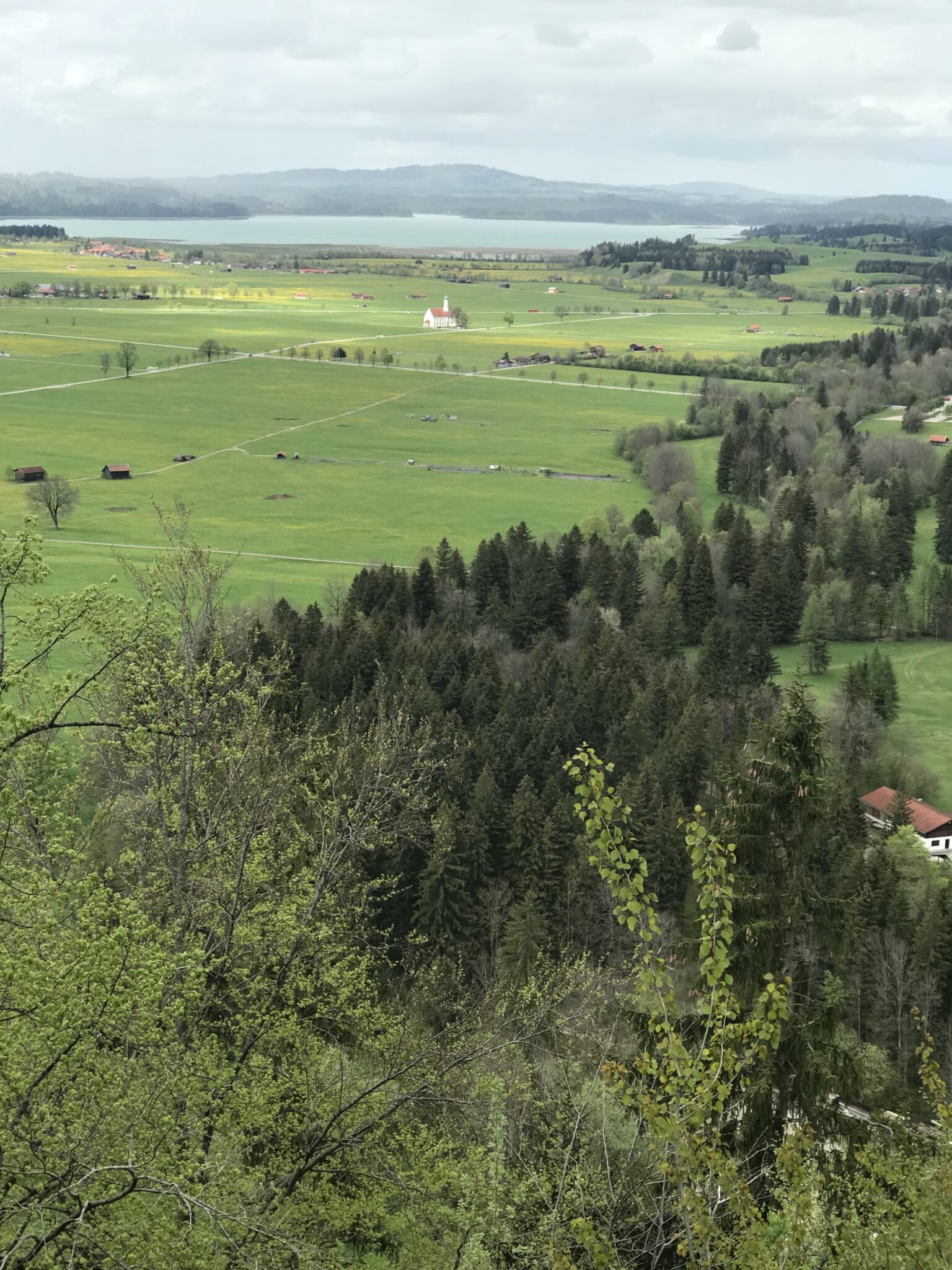 The Ring Cycle Operas | Cruising Log of the Murrelet